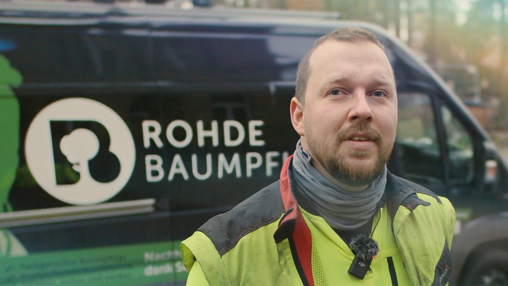 Baumservice Spreewald – Rohde Baumpflege